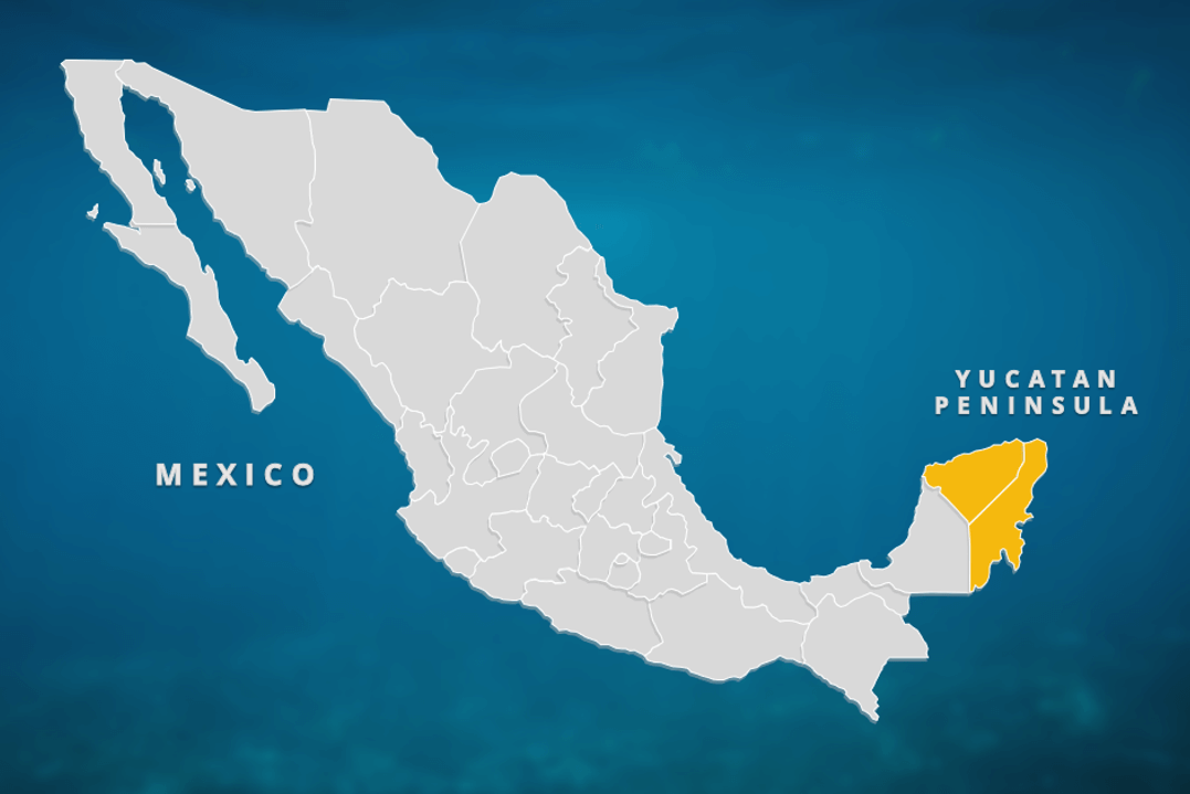 What are Cenotes? Everything You Need to Know!